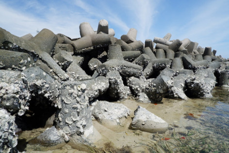 Tetrapod: Learn About the Beach Breakwater Structure