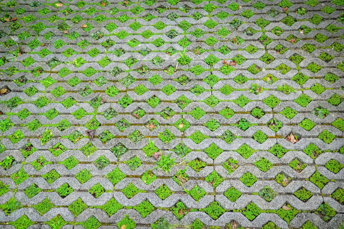 6 Aneka Jenis dan Ukuran Paving Block untuk Taman, Catat!