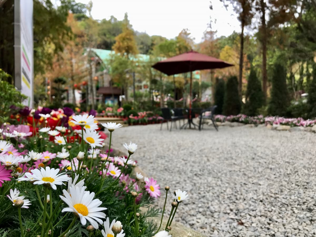 10 Desain Taman Belakang Rumah yang Nyaman dan Multifungsi