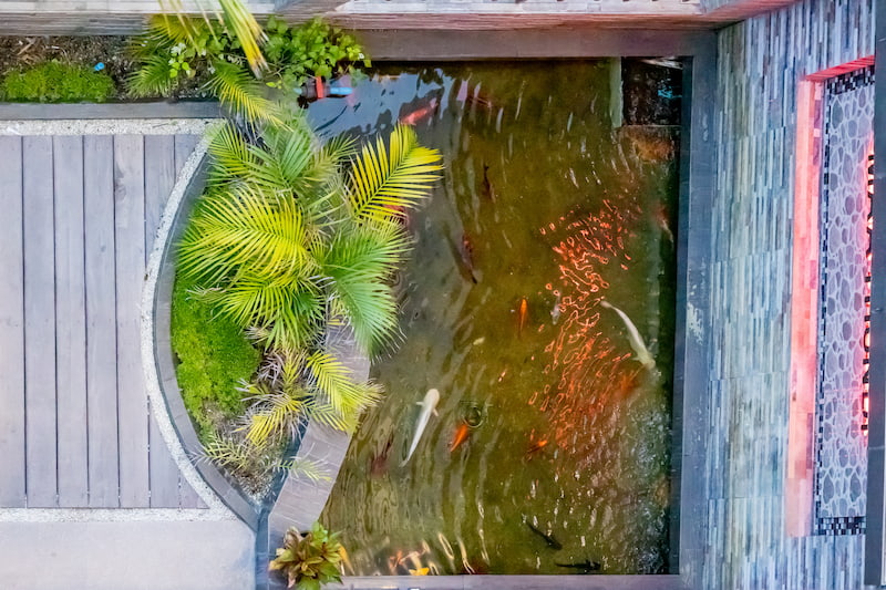 10 Ideas for Aesthetic Minimalist Front Yard Garden